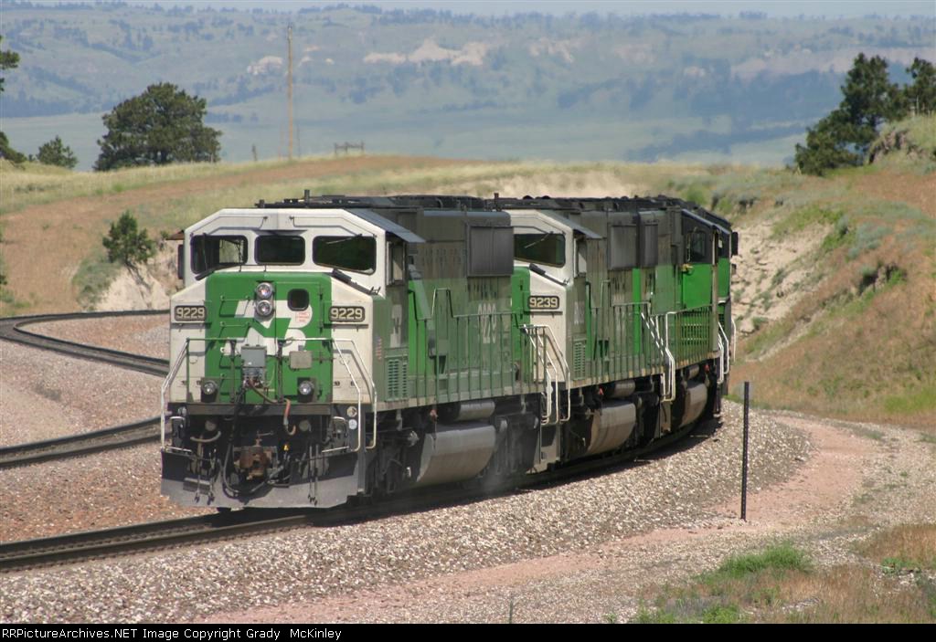 BNSF 9219